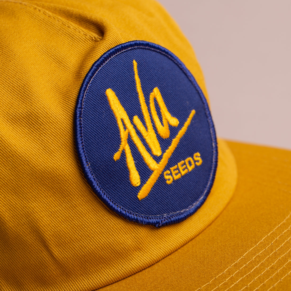 Ava Seeds – Lost & Foundry